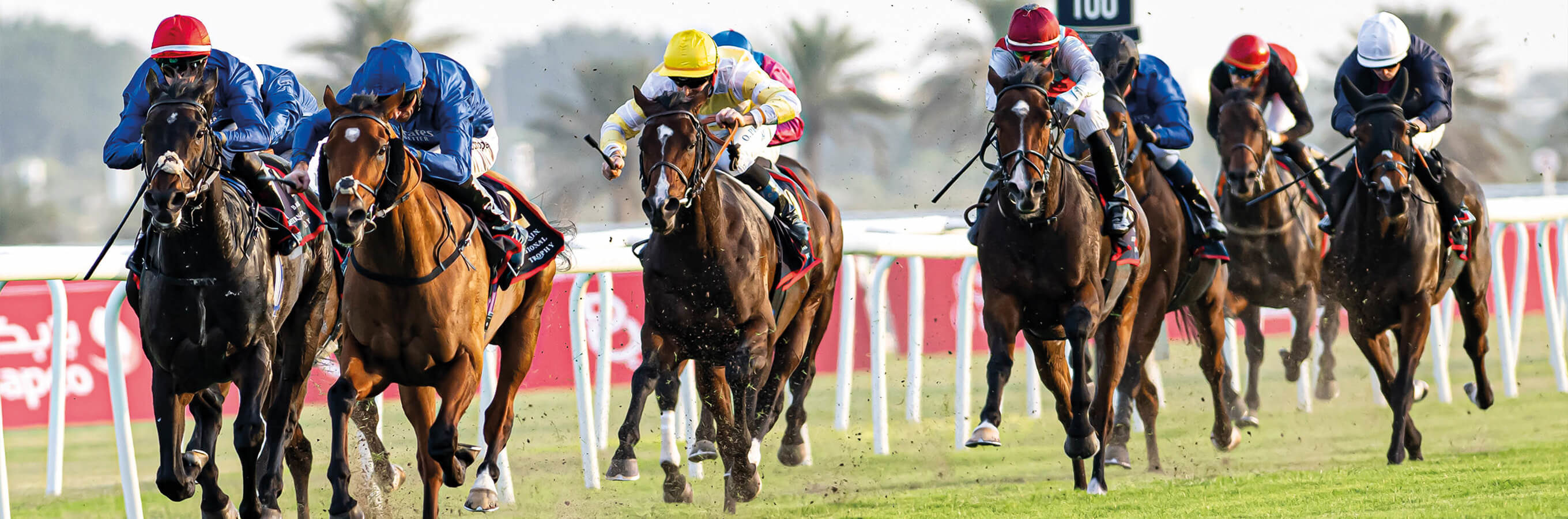 Bahrain International Trophy - The Bahrain Turf Club