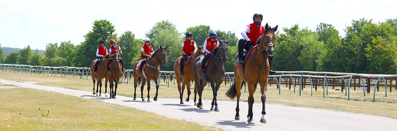 Bahrain Jockey Foundation - The Bahrain Turf Club