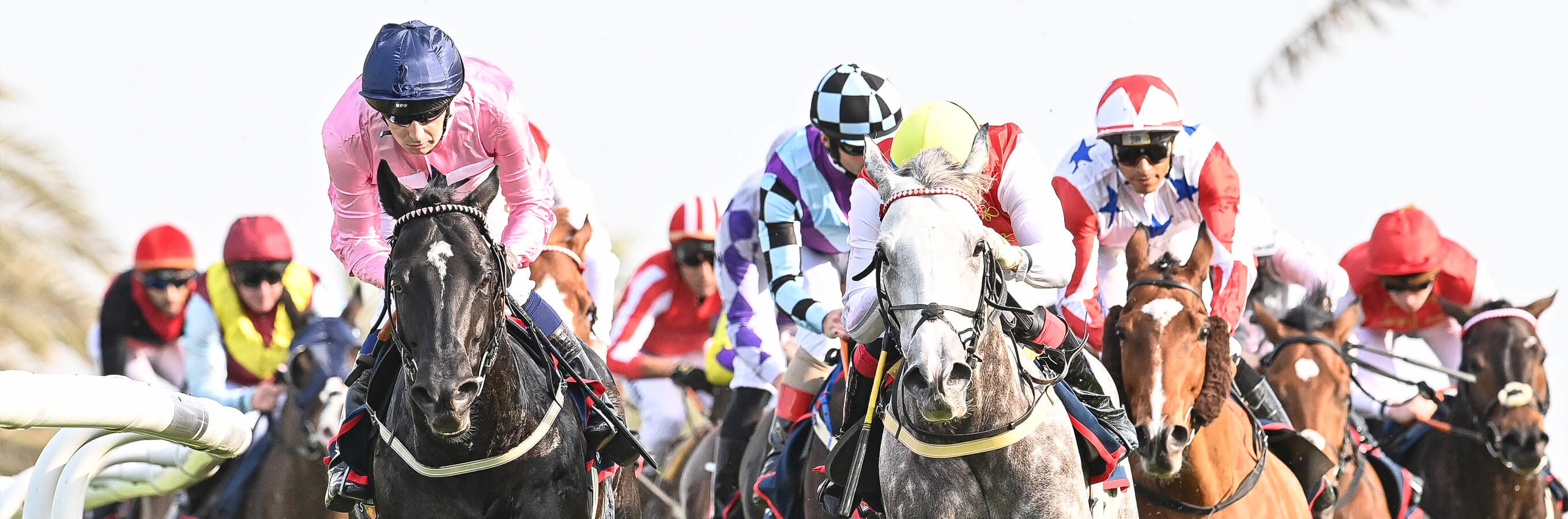 The Bahrain Turf Series - The Bahrain Turf Club