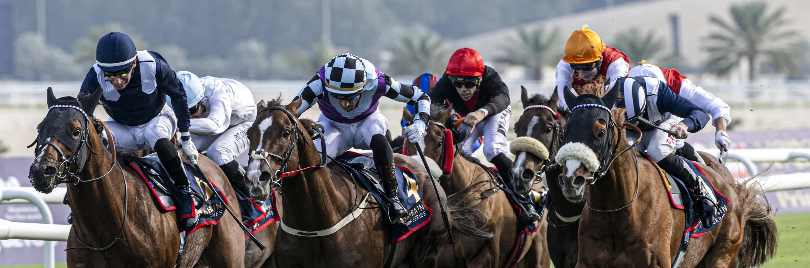 The Bahrain Turf Series - The Bahrain Turf Club