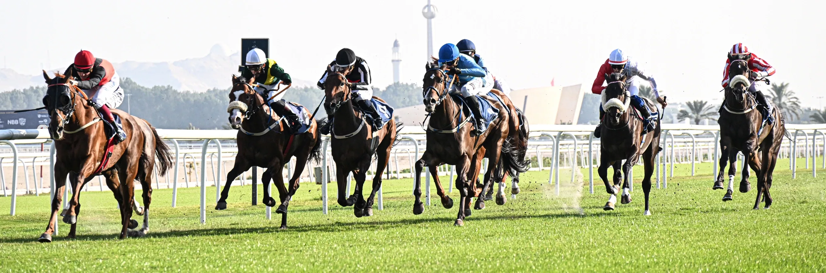 REHC Racing Season - Local - The Bahrain Turf Club