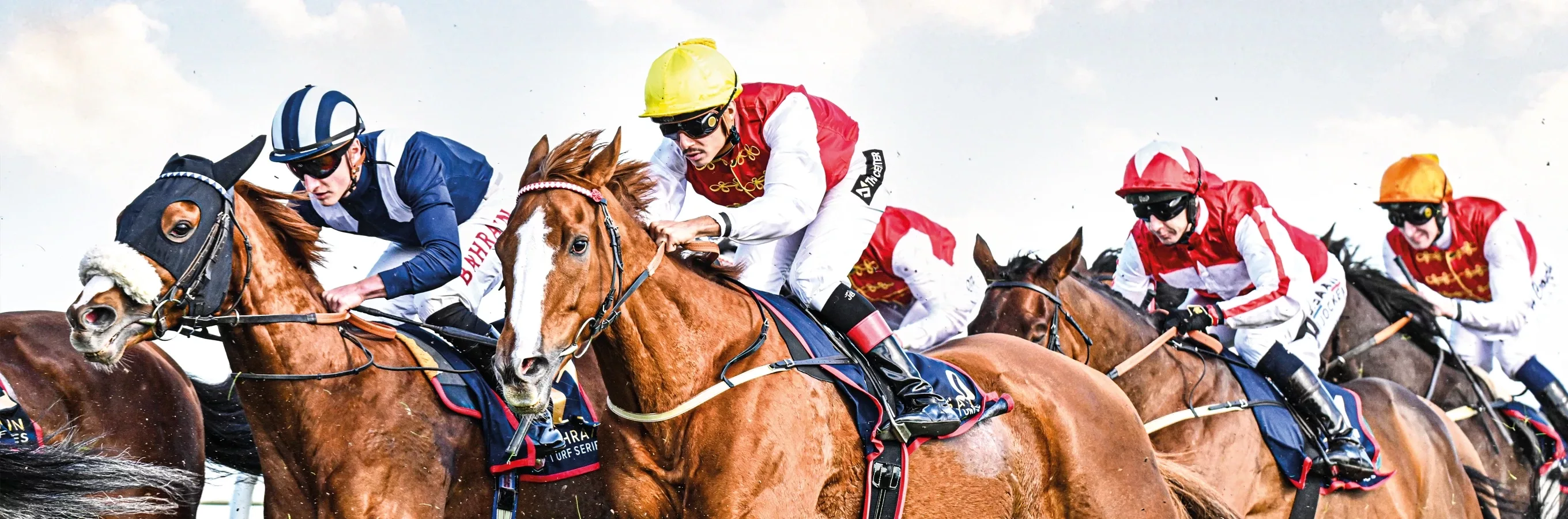 REHC Racing Season - Imported - The Bahrain Turf Club