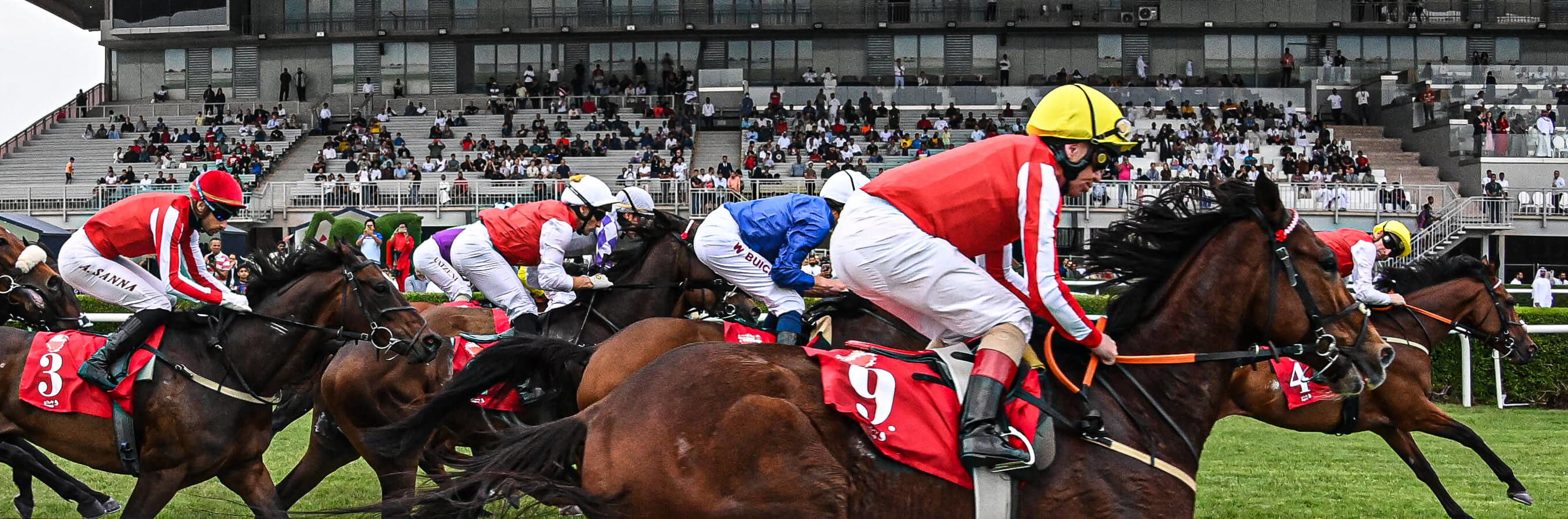 Bahrain Turf Club Racing - The Bahrain Turf Club