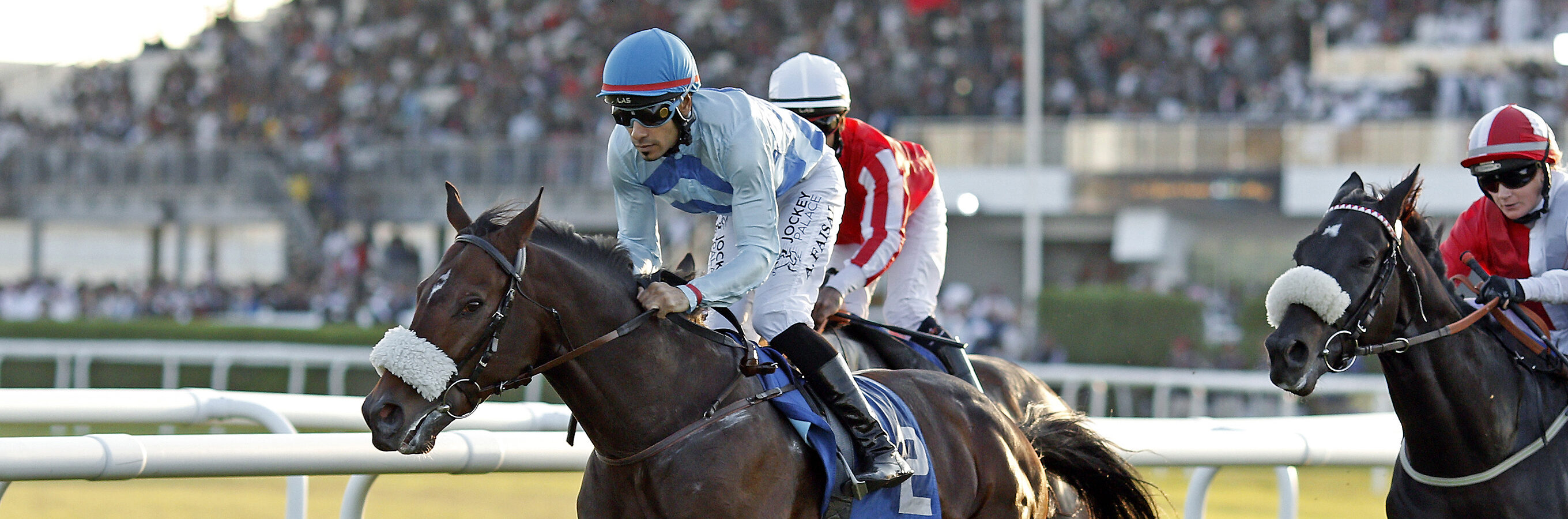 The REHC High Committee - The Bahrain Turf Club