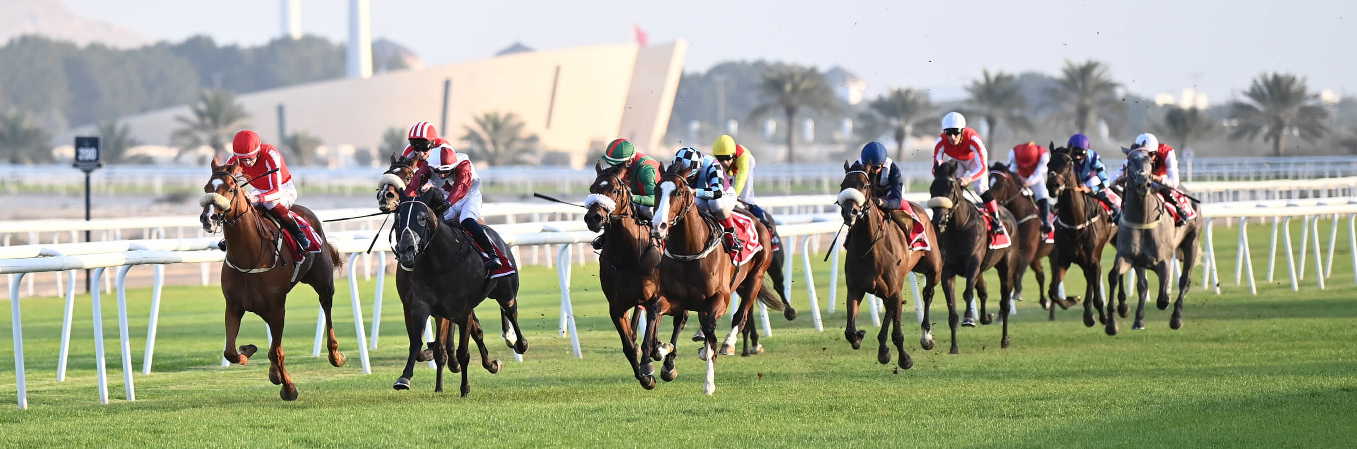 REHC Racing Season - Local - The Bahrain Turf Club