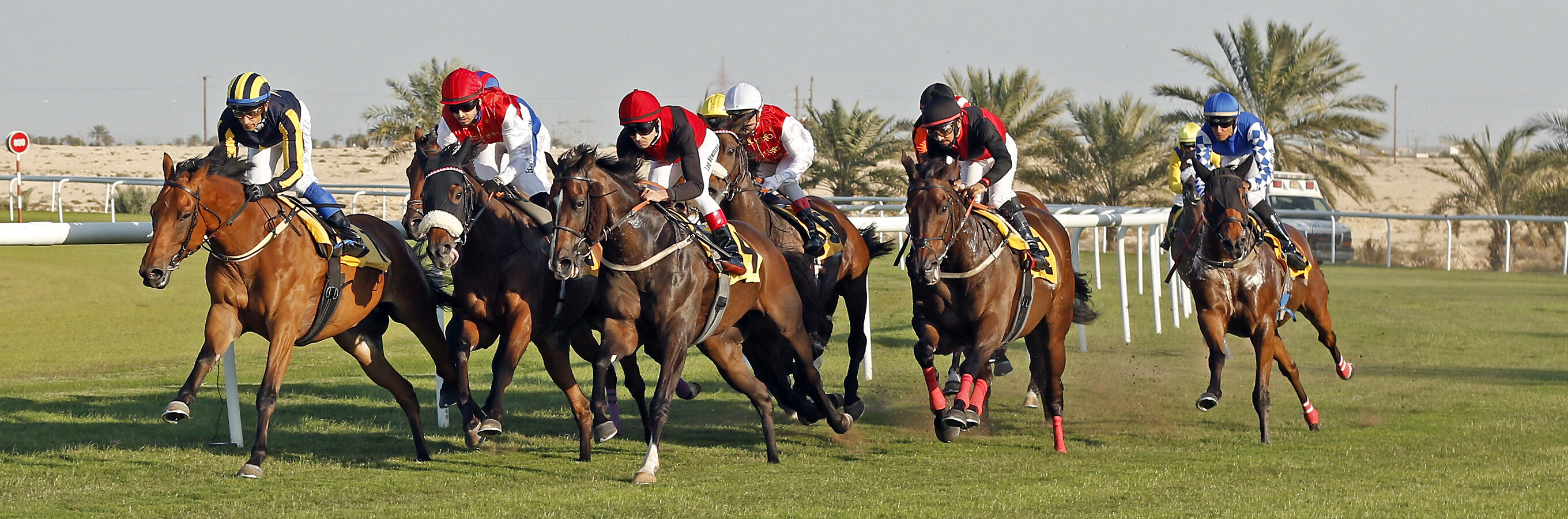 Executive Management - The Bahrain Turf Club