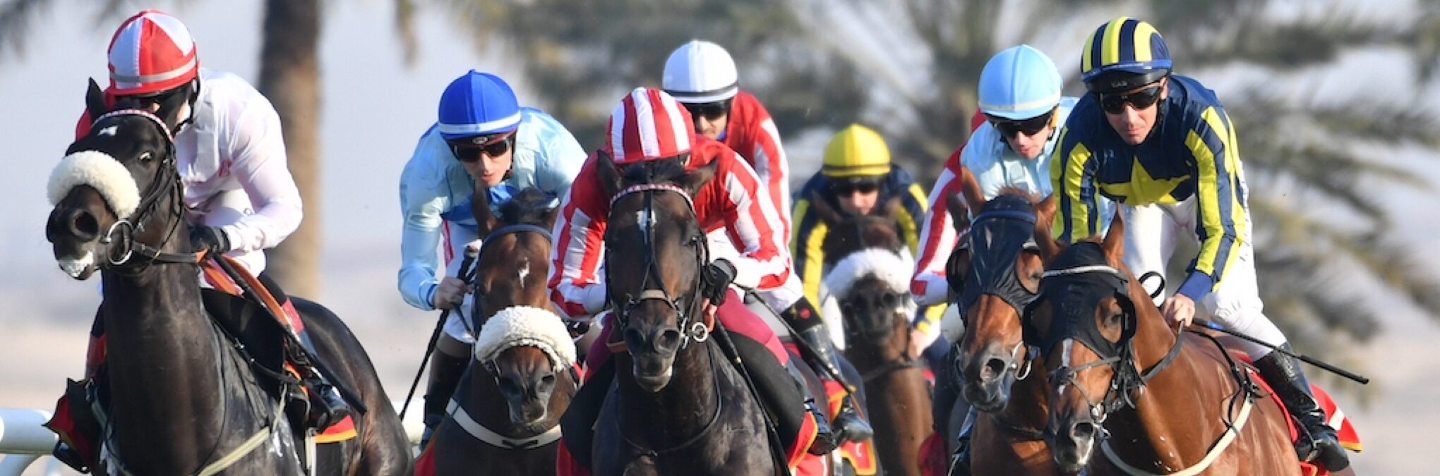 Equine Integrity - The Bahrain Turf Club