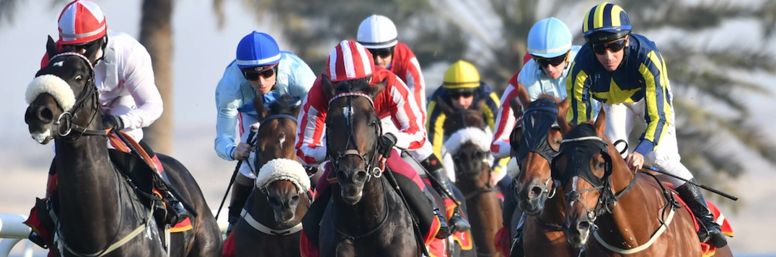 The Bahrain Turf Club (BTC) - The Bahrain Turf Club