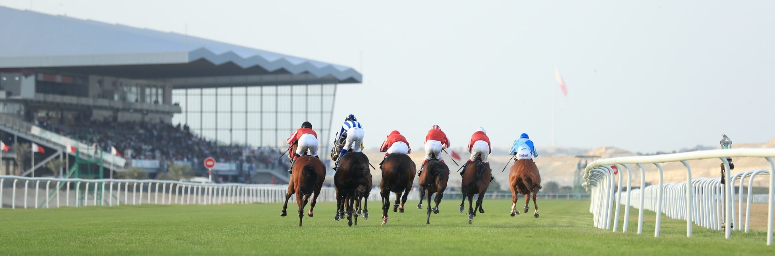 contact - The Bahrain Turf Club