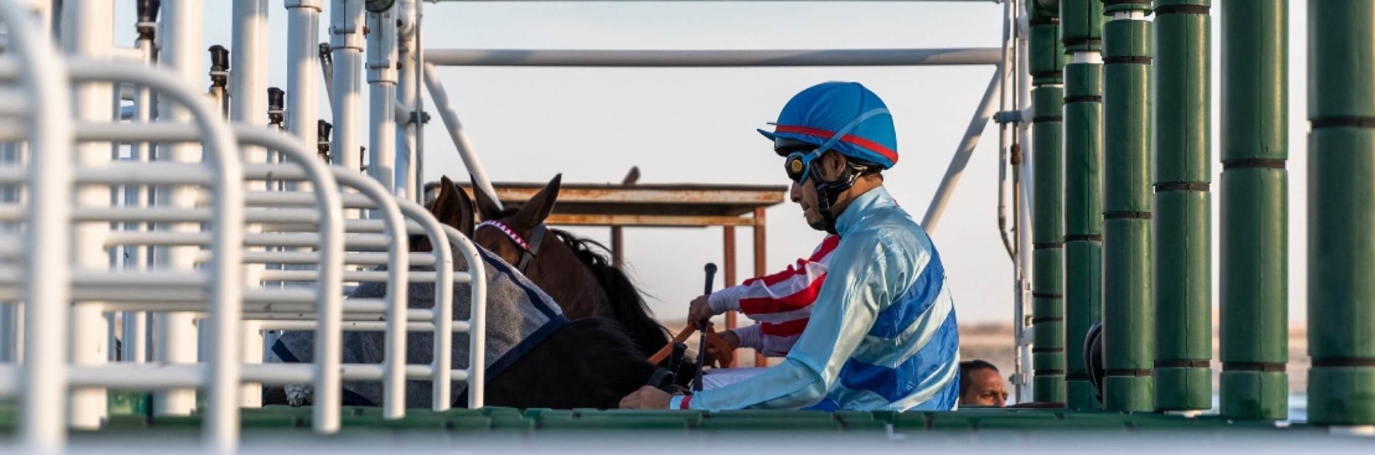 Bahrain Turf Club Racing - The Bahrain Turf Club