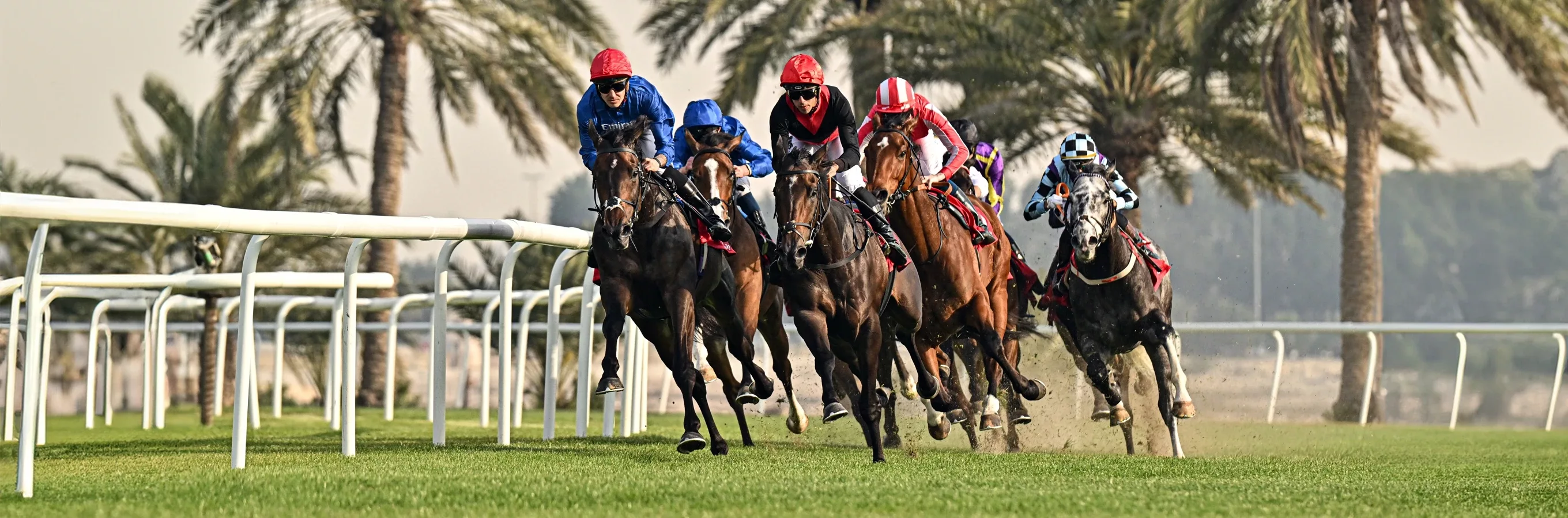 Bahrain Turf Club Racing - The Bahrain Turf Club