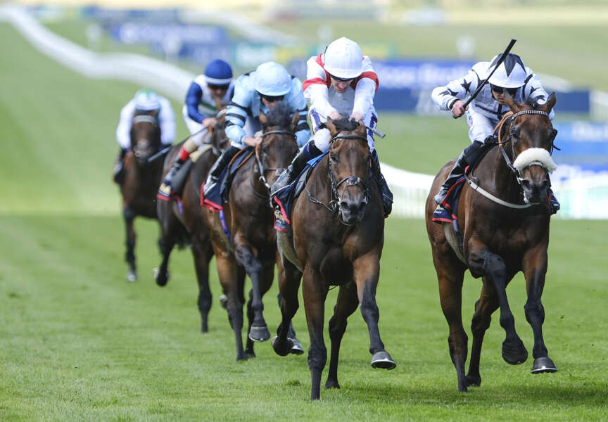 The Bahrain Turf Club