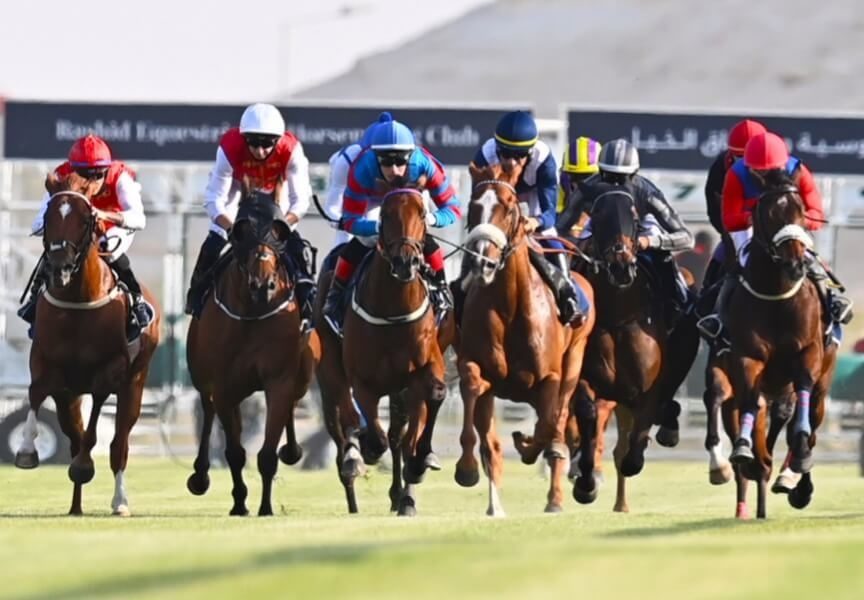 The Bahrain Turf Club